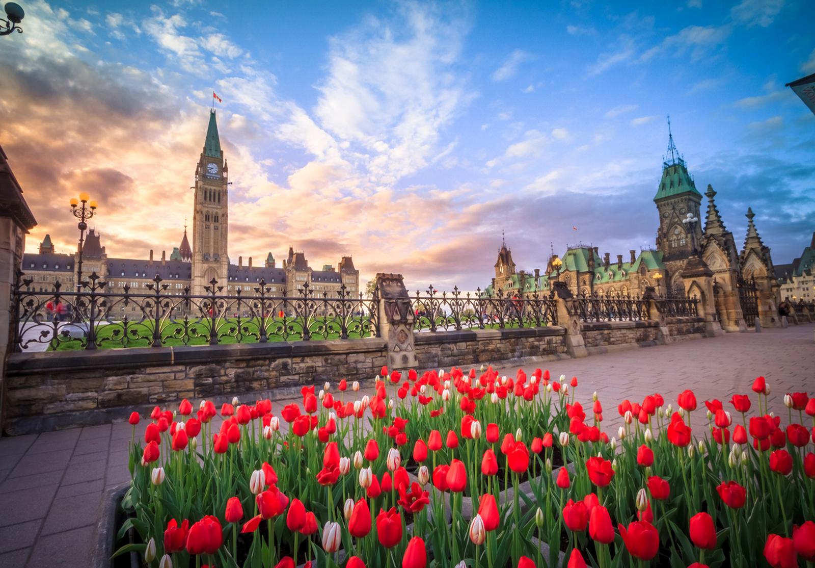 Conseiller.ca Vos nouvelles du matin